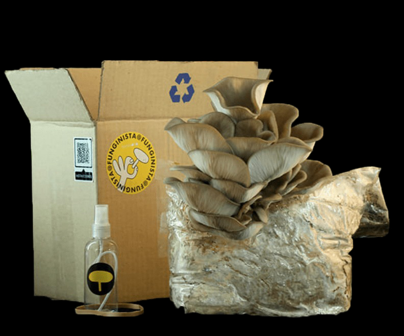 Funginista – Tienda Online